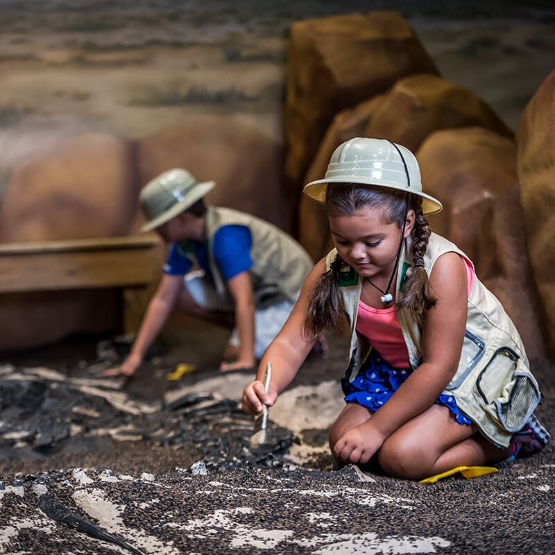 Paleontologists For Kids
