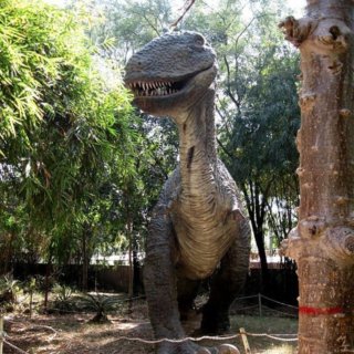 Science of Sound Activity ♪ Make Some Noise for Foley Art