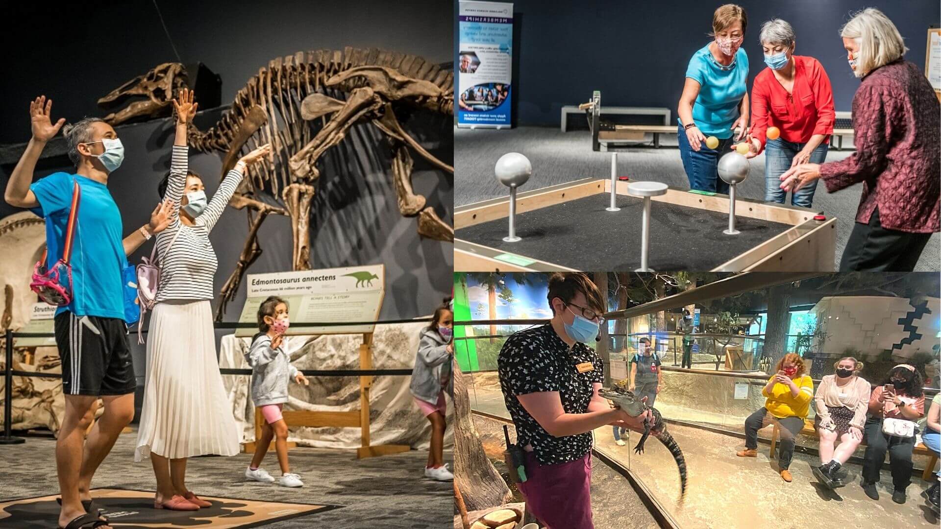 Orlando Science Center Experiences for Adults • Never Stop Learning!