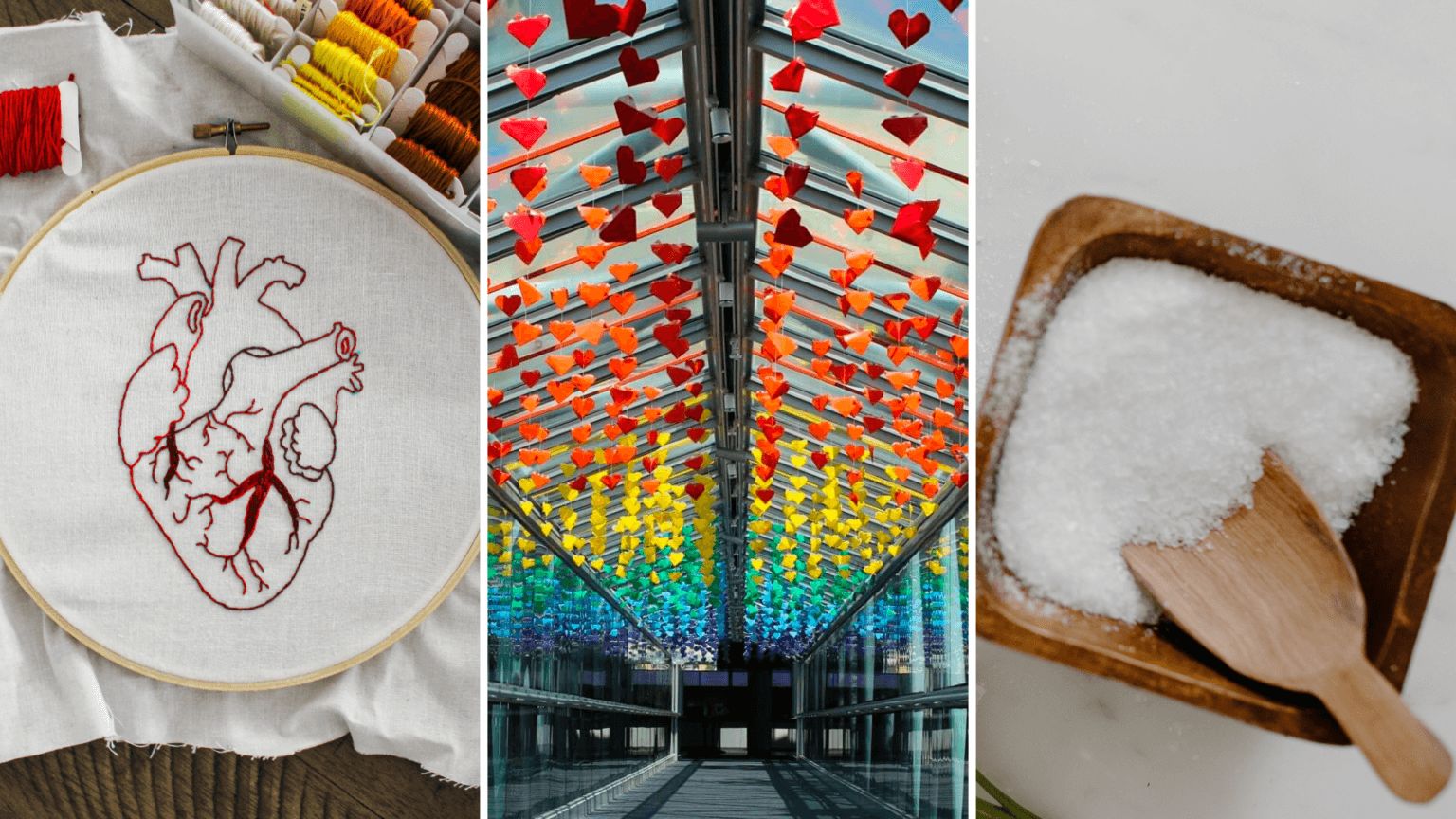 The Science of Self-Care - Orlando Science Center