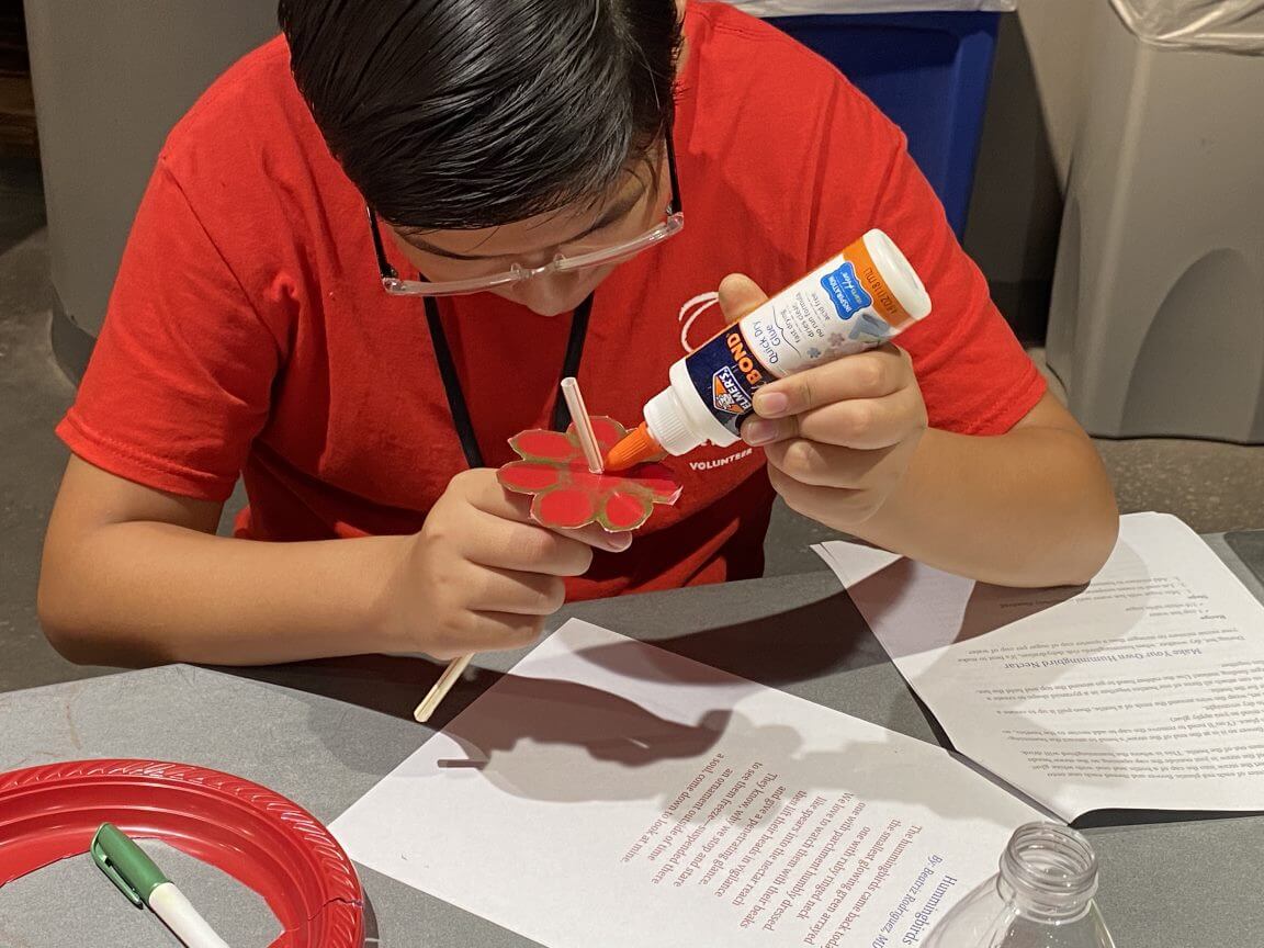 National Hummingbird Day - Orlando Science Center