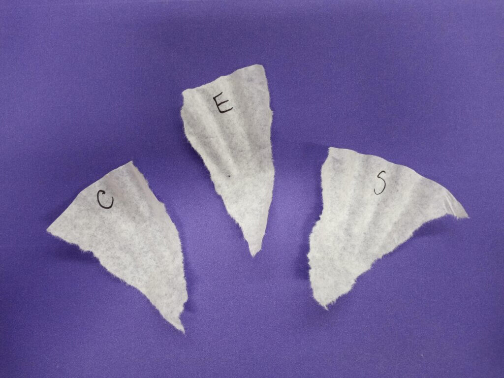 Chromatography Experiment for Kids - Orlando Science Center