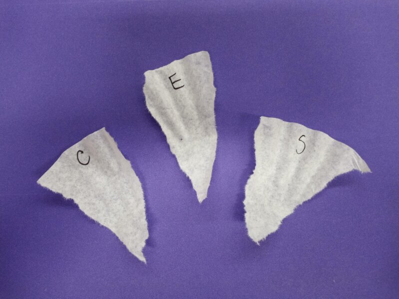 Chromatography Experiment for Kids - Orlando Science Center