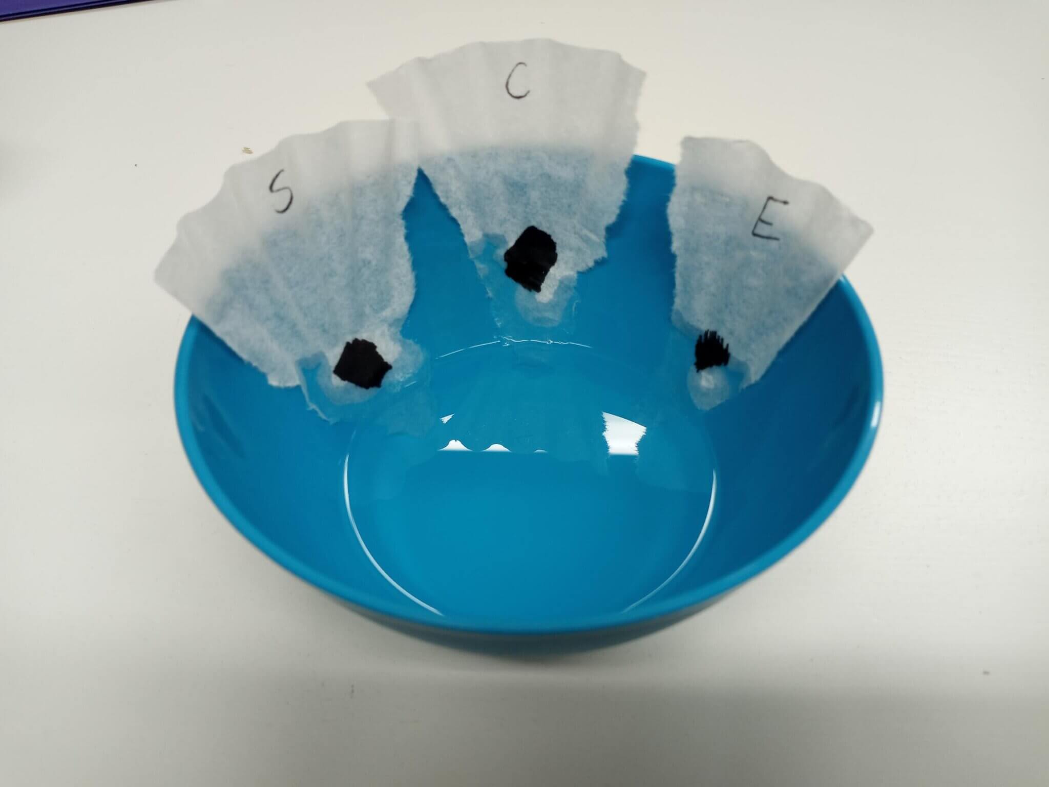 Chromatography Experiment for Kids - Orlando Science Center