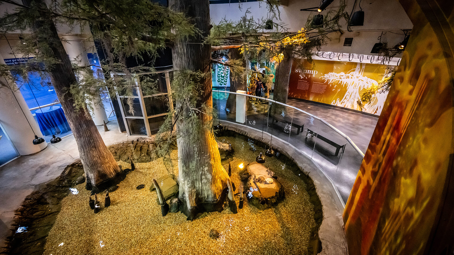 Now Open - Learn the story of our planet from the animals that call it ...