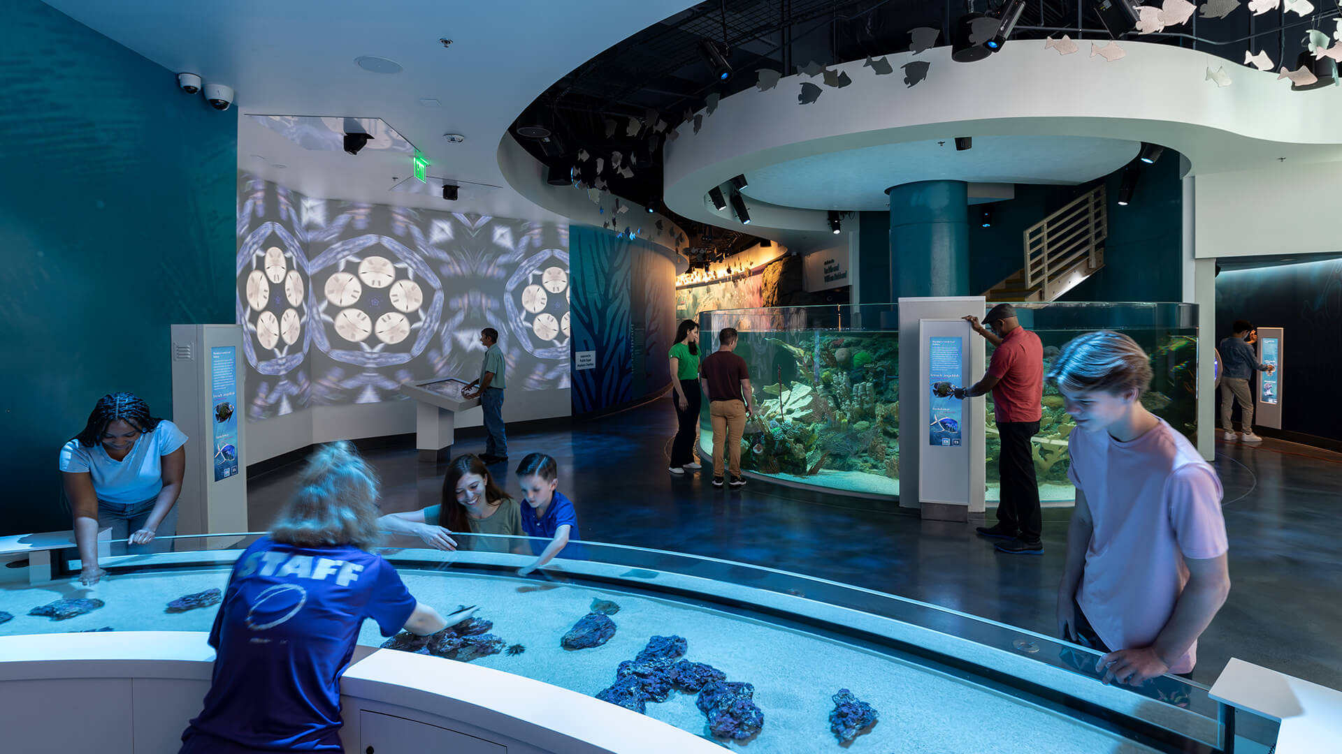 Now Open - Learn the story of our planet from the animals that call it ...